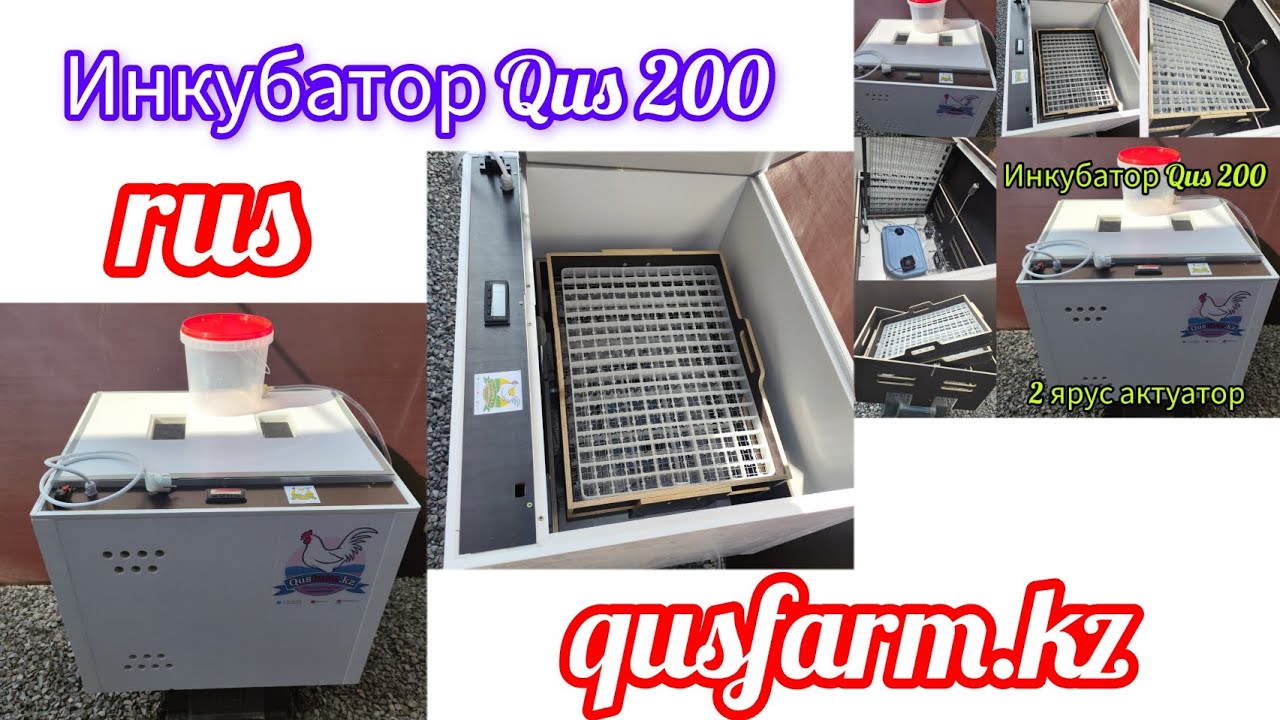 Инкубтор Qus 200 настройки.Программирование. - YouTube