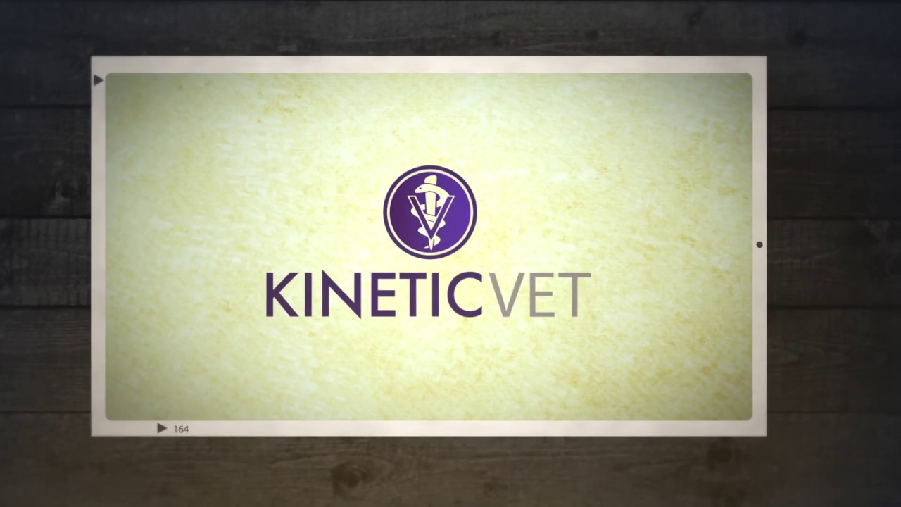 Kinetic Vet-We’re just like you! - YouTube