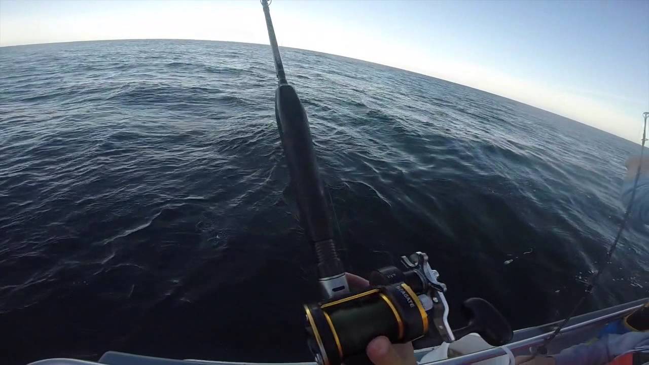 Porgy Fishing/ Porgy Party on the Laura Lee Express - YouTube