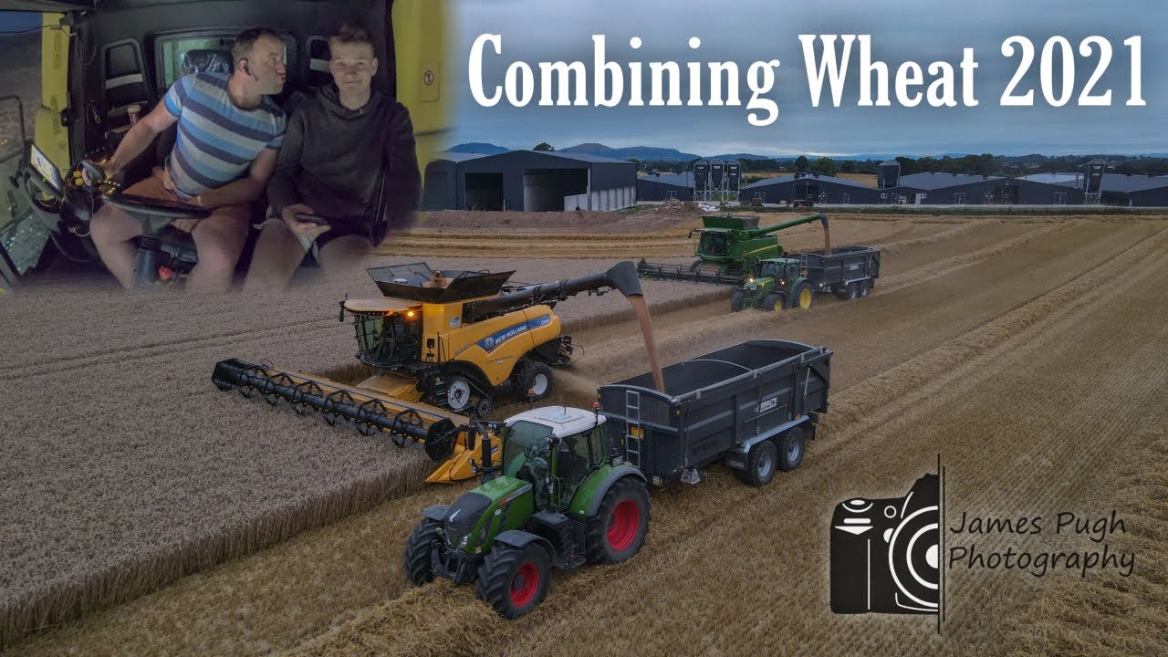 Combining Wheat 2021 - YouTube