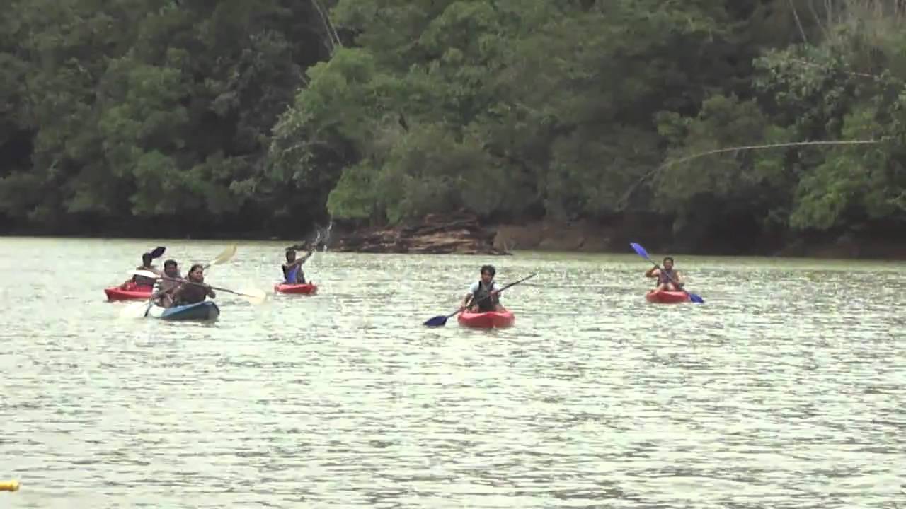 Kayaking in Kali River, Dandeli - YouTube