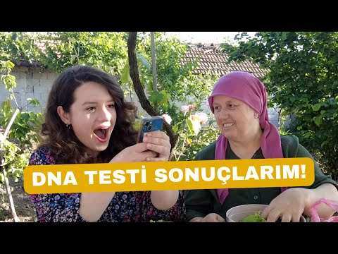 DNA Testi Sonuçlarım! Aslen Nereliyiz?