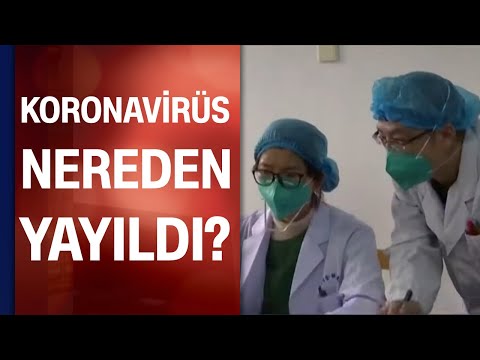 Bilim İnsanları: \