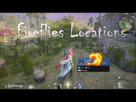 Where Are Fireflies Found Map