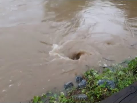 Flood in Fairview at Mountain Shadows Subdivision