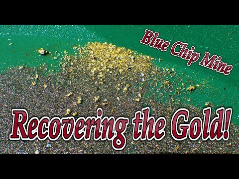 Gold recovery! Getting the gold from the Blue Chip Mine Ore. - YouTube