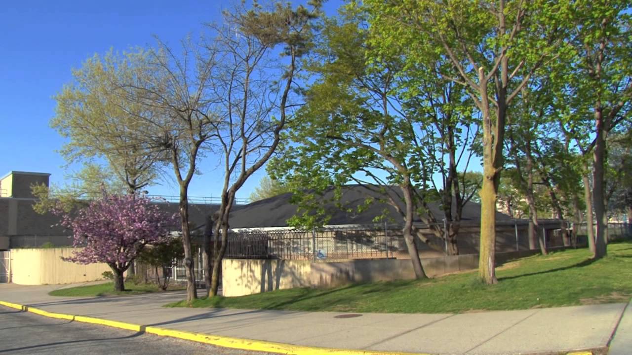 P.S. 219 Paul Klapper - YouTube