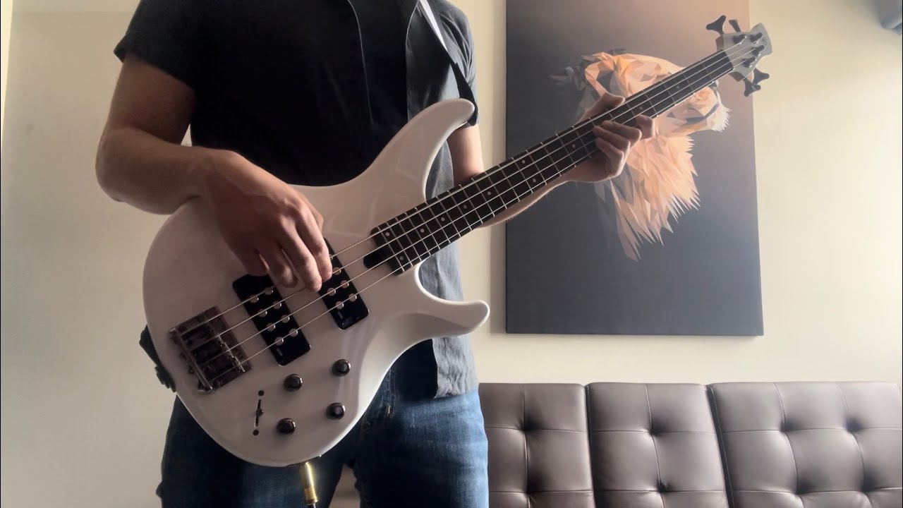 Seven Nation Army - The White Stripes - Bass Cover - YouTube