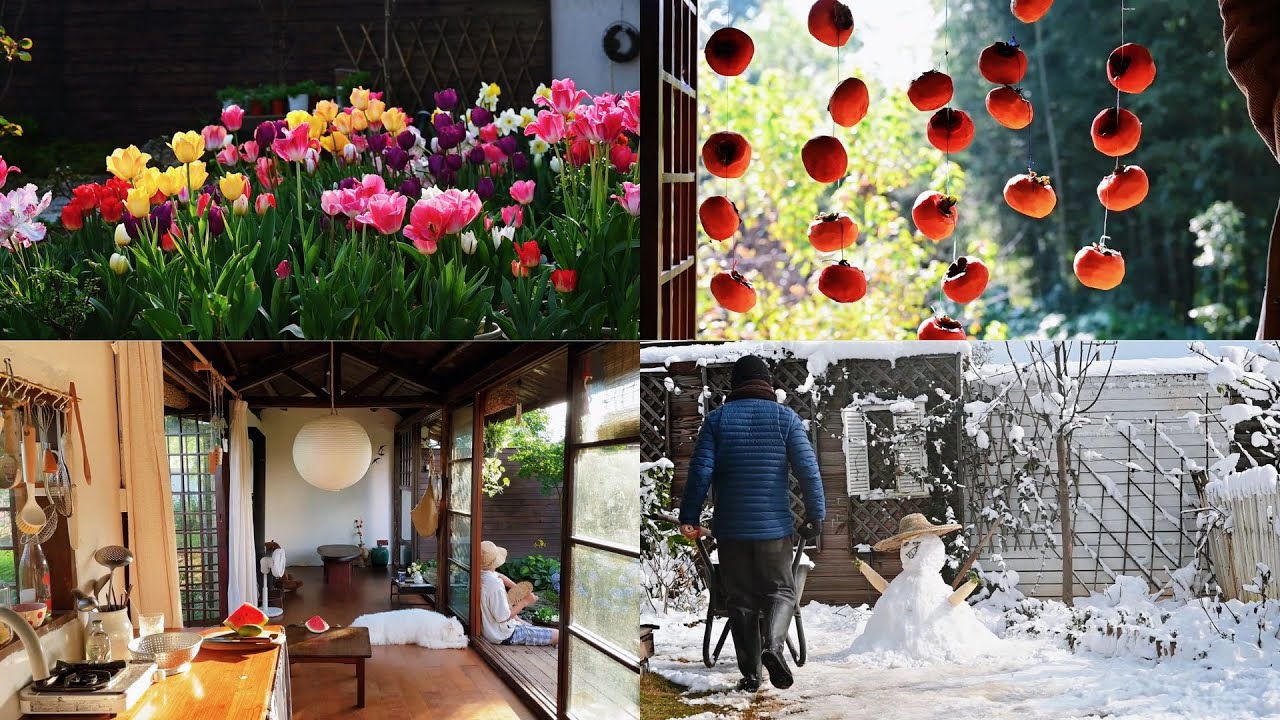 spring, summer, autumn, winter then spring returns to life again - YouTube