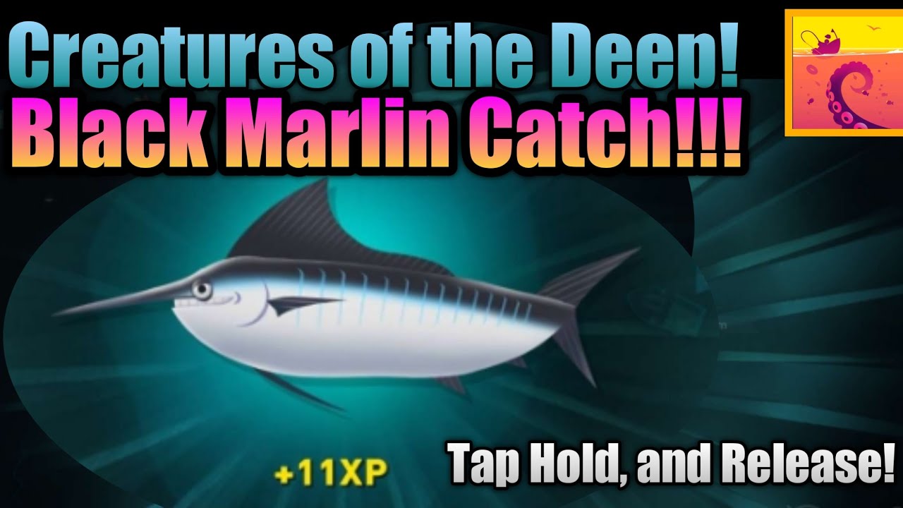 BLACK MARLIN - Creatures of the Deep Fishing Black Marlin in the Fish ...