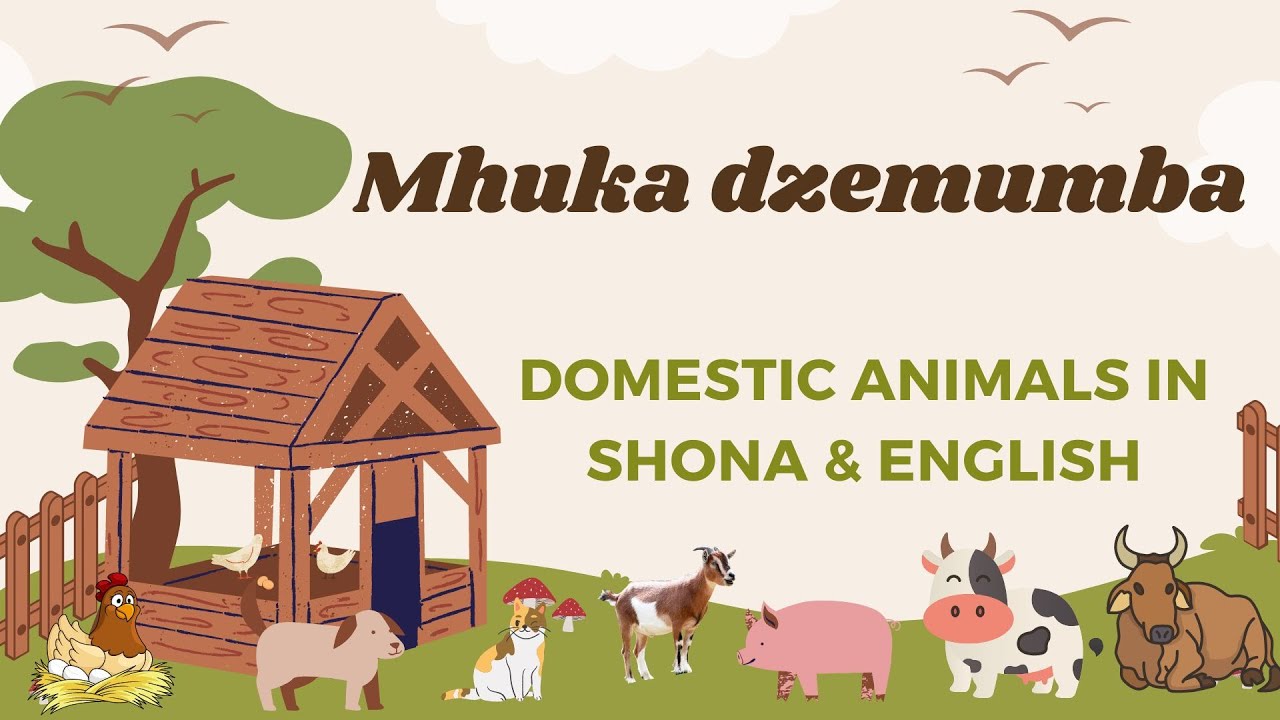 Mhuka dzemumba - Domestic Animals in Shona & English - YouTube