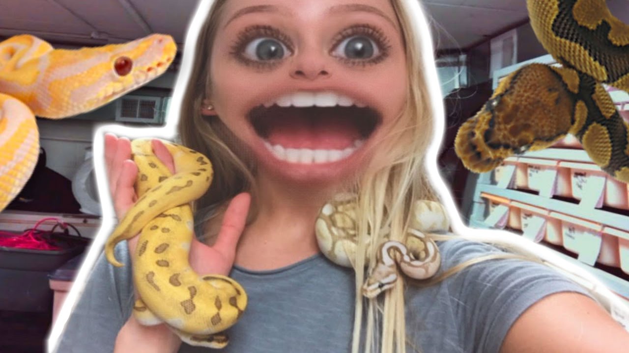 ORGANIZE MY SNAKES!!! 🐍 | BRIAN BARCZYK - YouTube