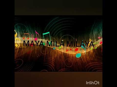 MAYA MİLA MİLAYA / MÜZİK EVRENİ