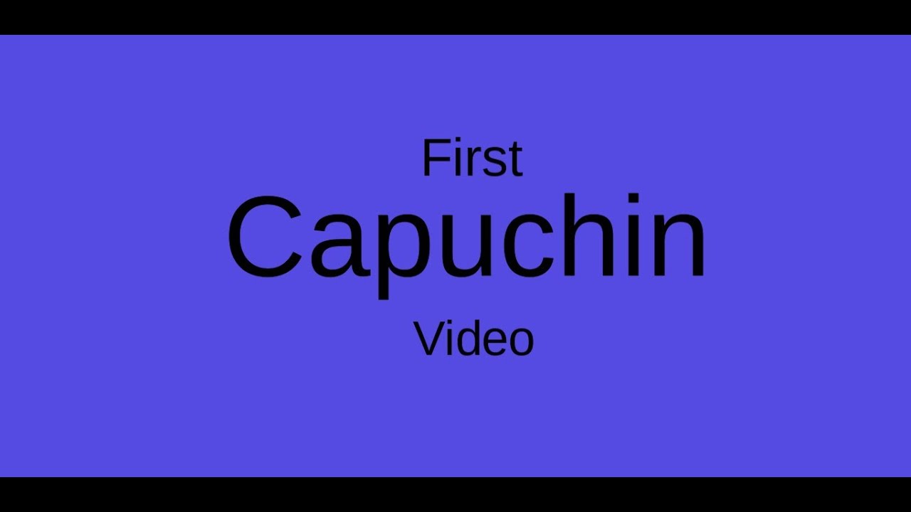 First Capuchin video - YouTube