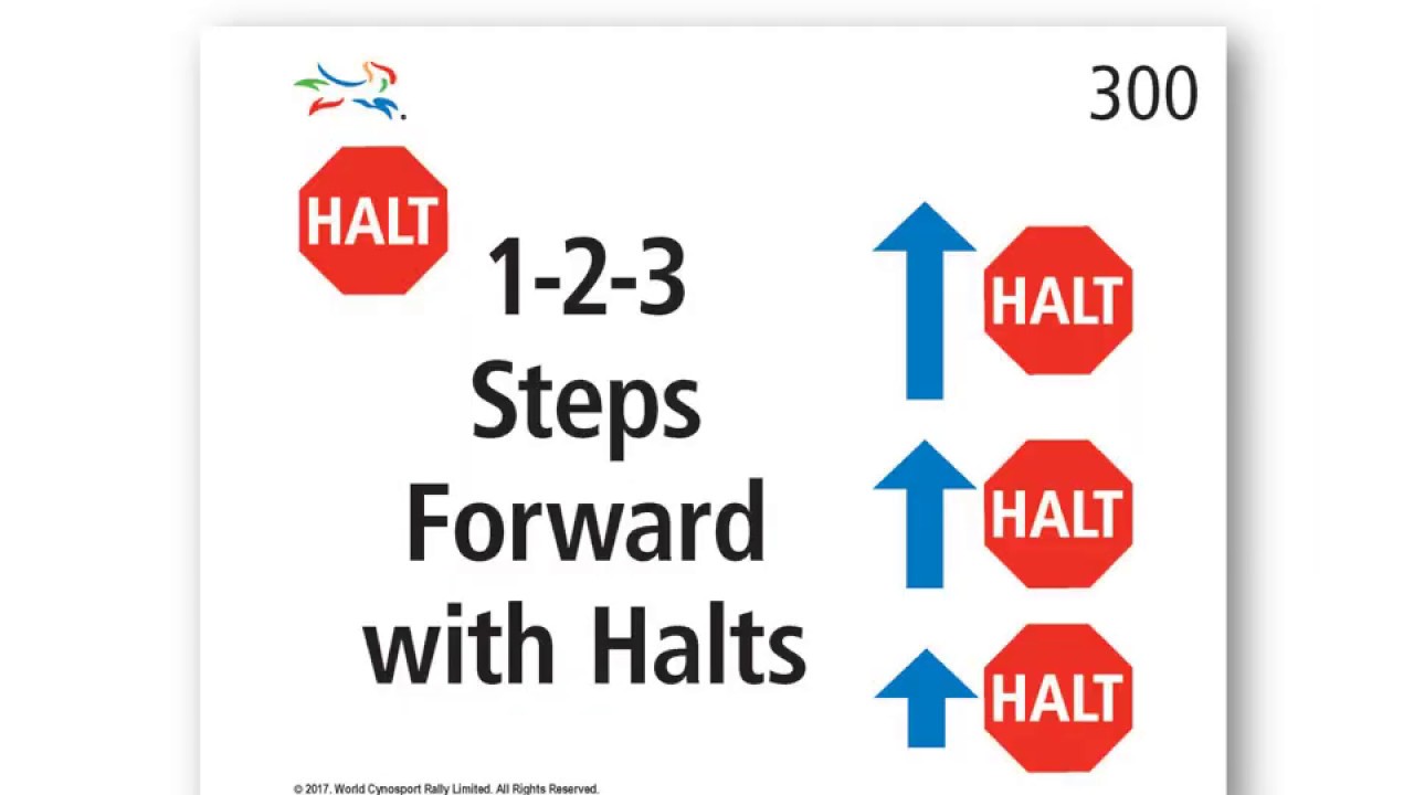 300 Halt, 1 2 3 Steps Forward with Halts (with scoring) - YouTube