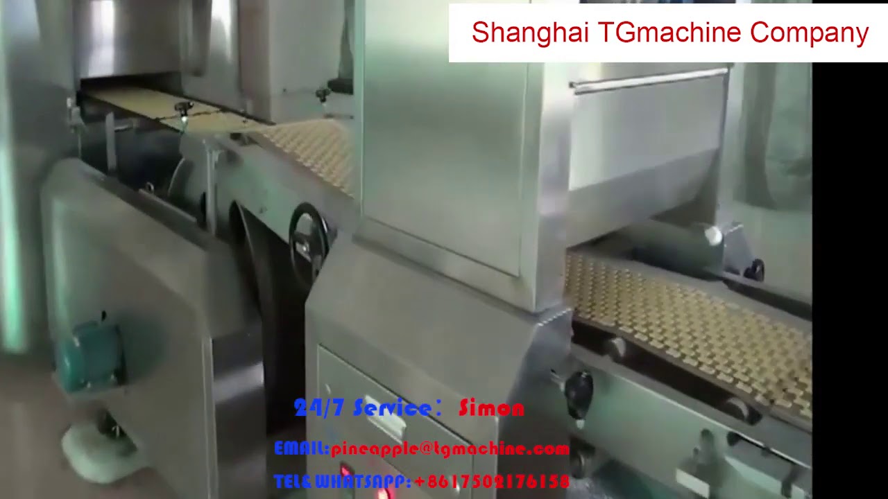 Baby Bear Biscuit Production process 小熊饼干生产线生产过程（Simon+8617502176158 ...