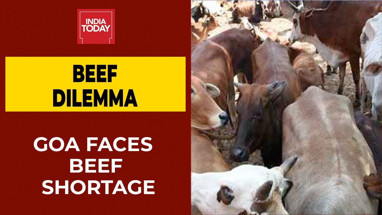 Goa Faces Beef Crisis This Christmas, Government Promises Solution In ...
