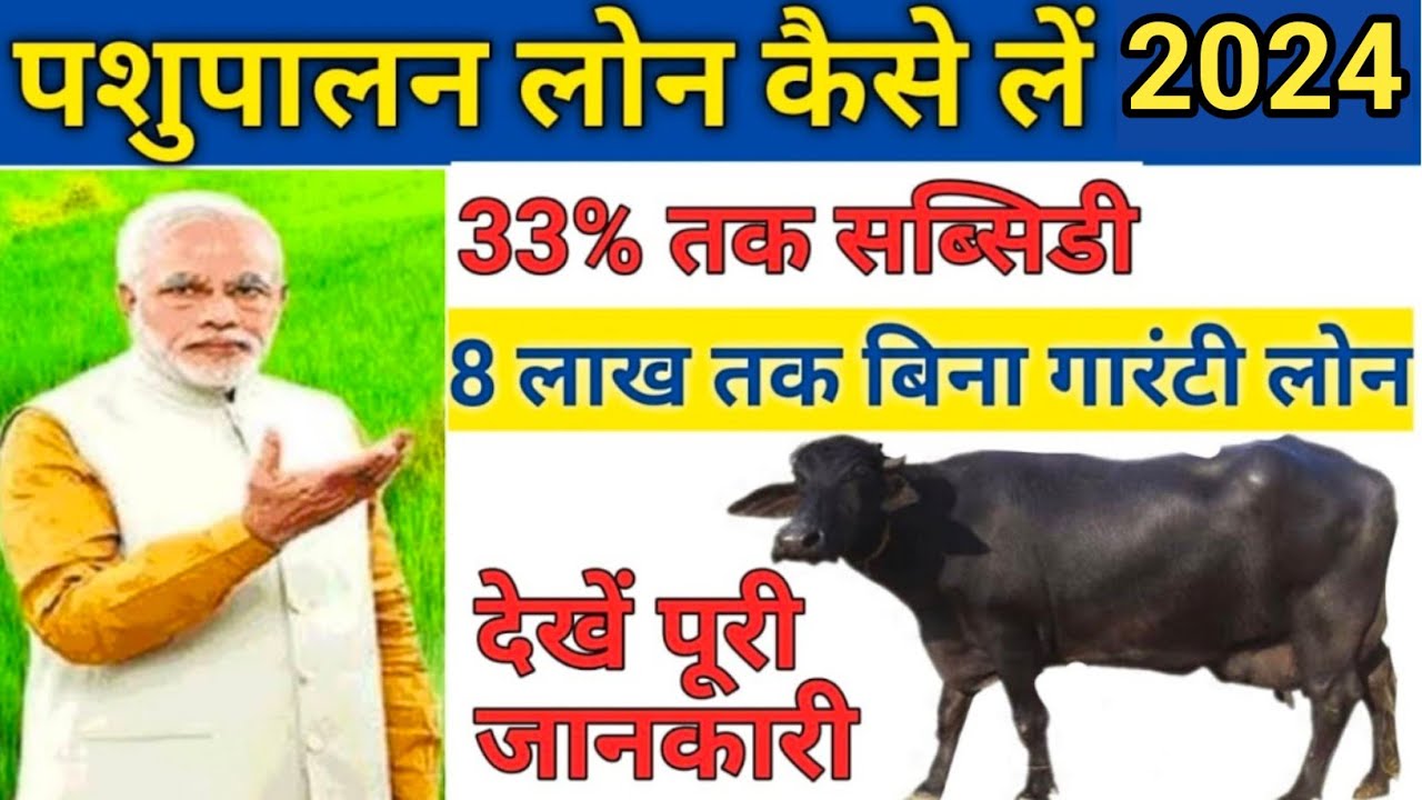 Pashupalan Loan Yojna 2024 | पशुपालन लोन कैसे लें | pashu loan kaise le ...