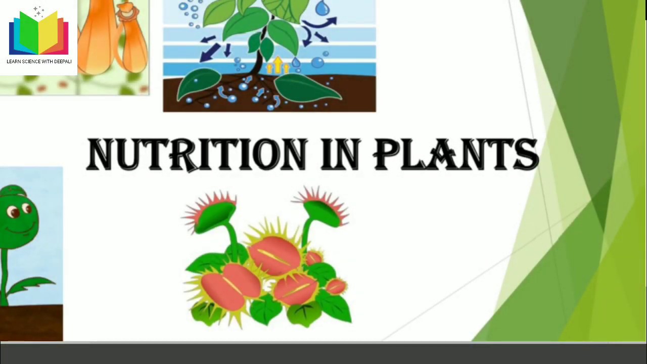 Exercises on Nutrition in Plants - YouTube