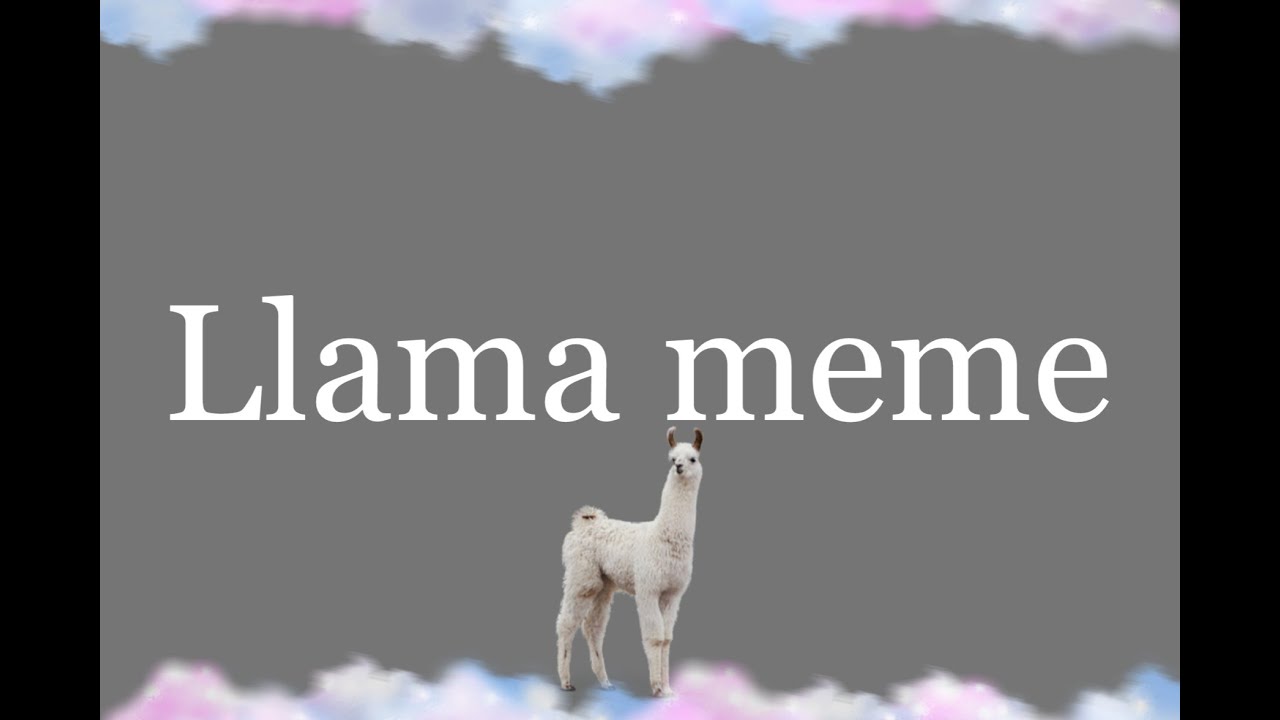 Llama meme[meme] - YouTube