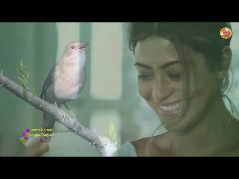 Fikret Kızılok - Köroğlu Dağları (1973)