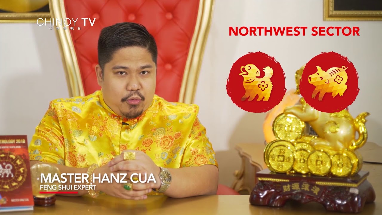 Chinoy Fortune: Master Hanz Cua - YouTube
