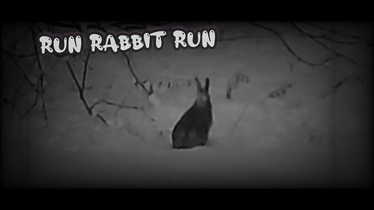 Run Rabbit Run - YouTube