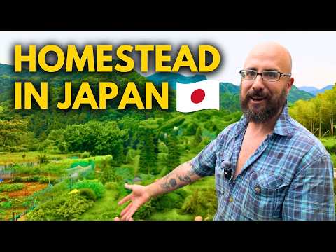Turning an Abandoned Japanese Village Into a Permaculture Paradise