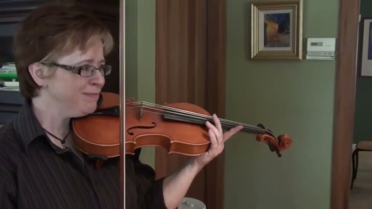 Twinkle Variations from Suzuki Vioiln Book 1 (All) with piano - YouTube