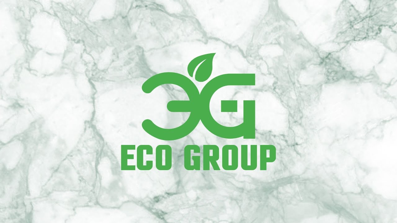 Elevator Pitch - ECOGROUP - YouTube