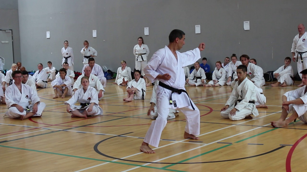 IJKA World Championship 2017 - Thursday Seminar - YouTube