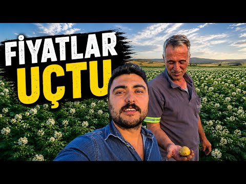 Patates Tarlasında Bir Gün | Sulama ve Güncel Fiyatlar