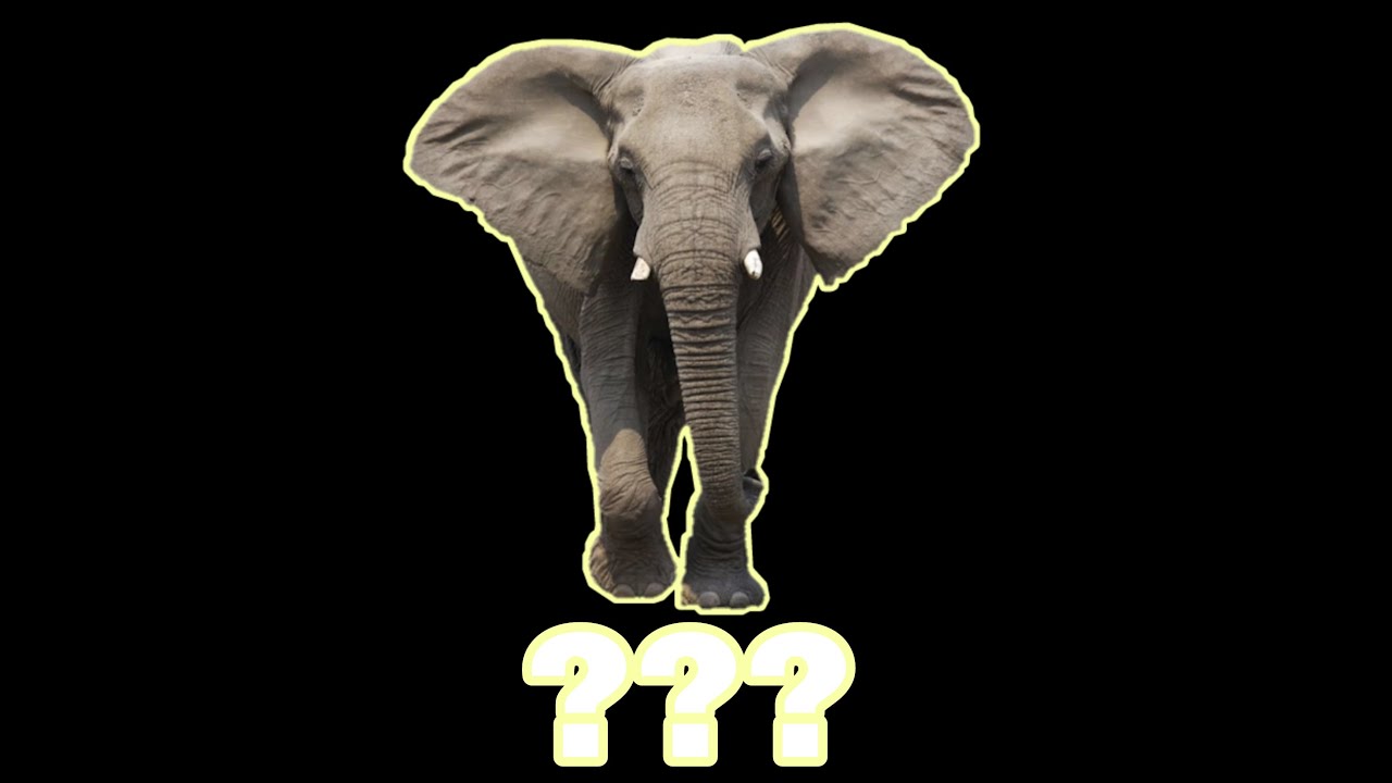 16"Elephant" Sound Variations in 47 Seconds | LK Loves Potato - YouTube