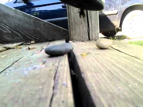 CRICKET CURB STOMP!!!!!! - YouTube