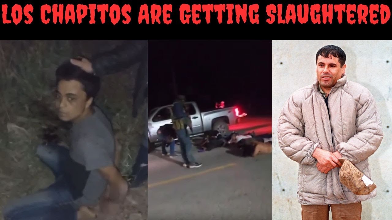 How El Chapo Destroyed The Sinaloa Cartel | Los Chapito Members ...