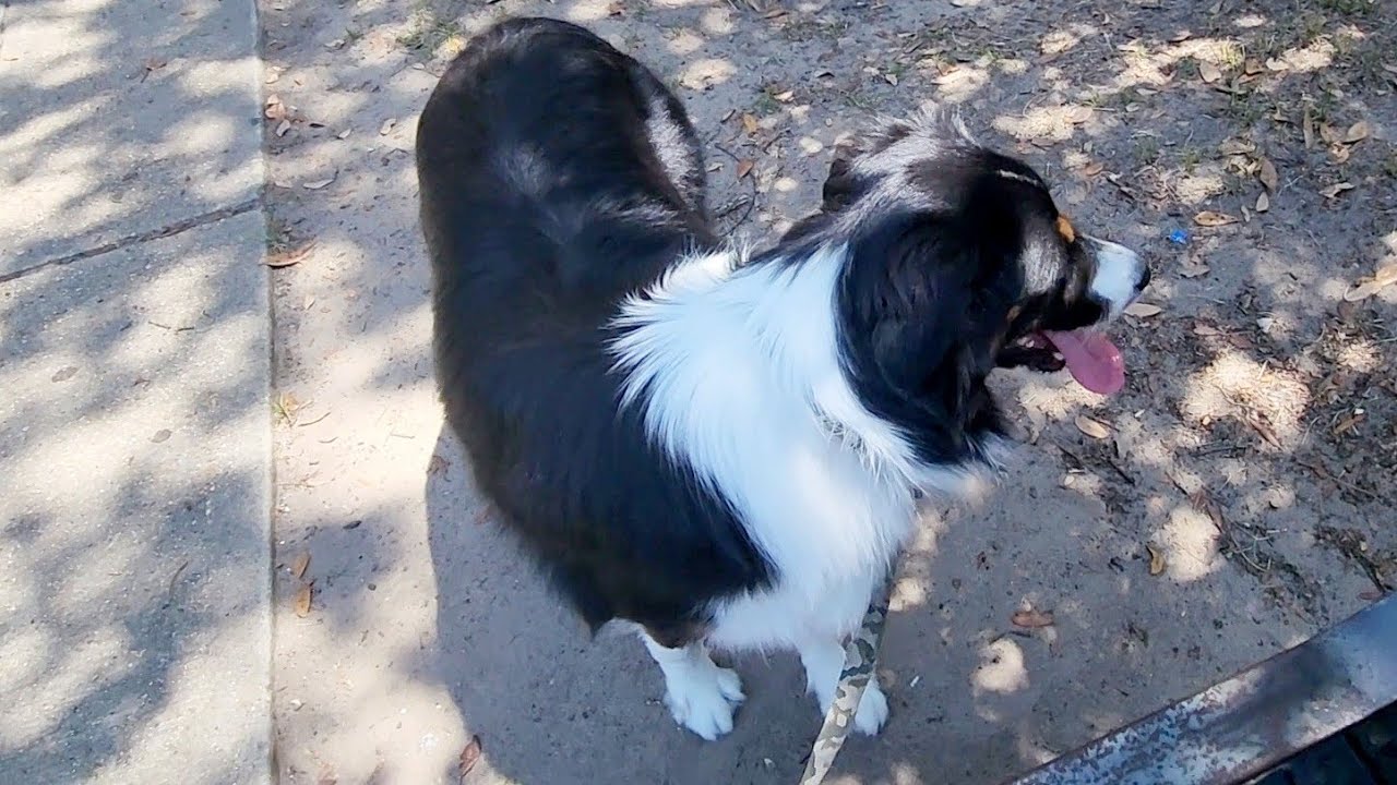 Quick Way To Improve Your Mood 🚿| Get Organized, So Important! | Walk ...