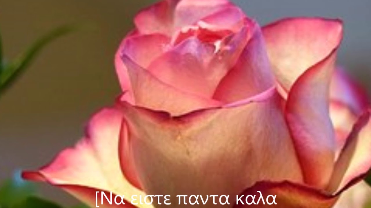 Χρονια πολλα στους εορταζοντες Βασιλικη Βικυ Βασω ΒΑΣΙΛΗ - YouTube