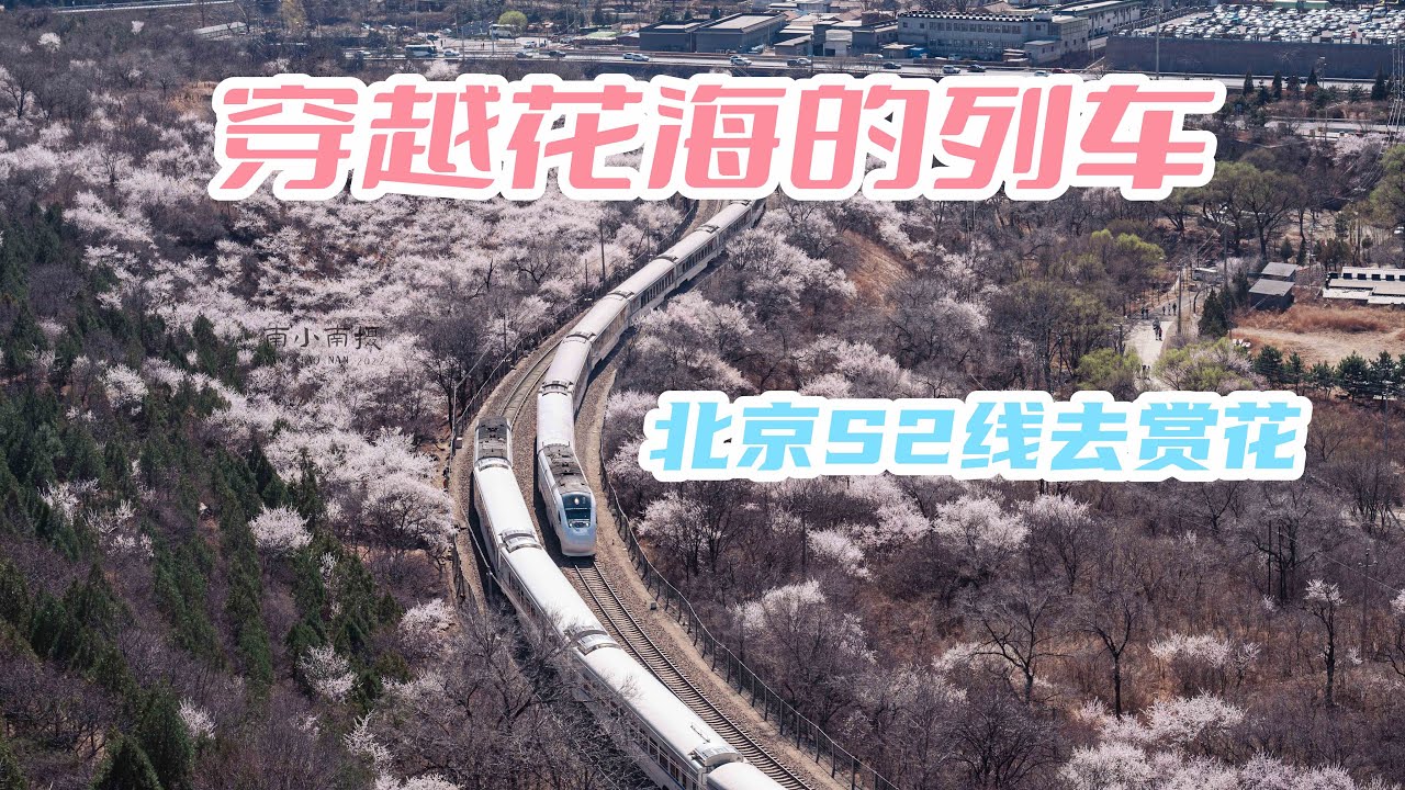 开往春天的火车！坐北京S2线去赏花观景爬长城【南铁旅记】Train bound for Spring, Beijing Suburban ...
