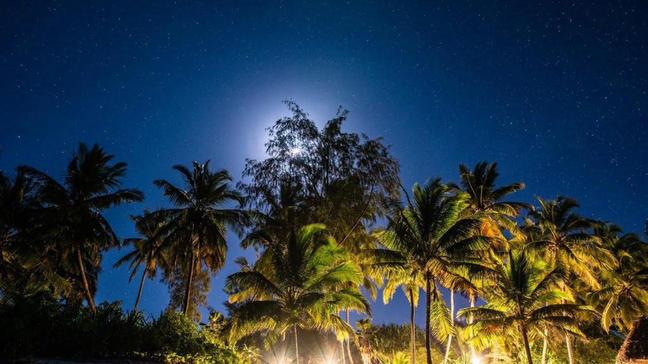 Pongwe Beach Hotel - YouTube