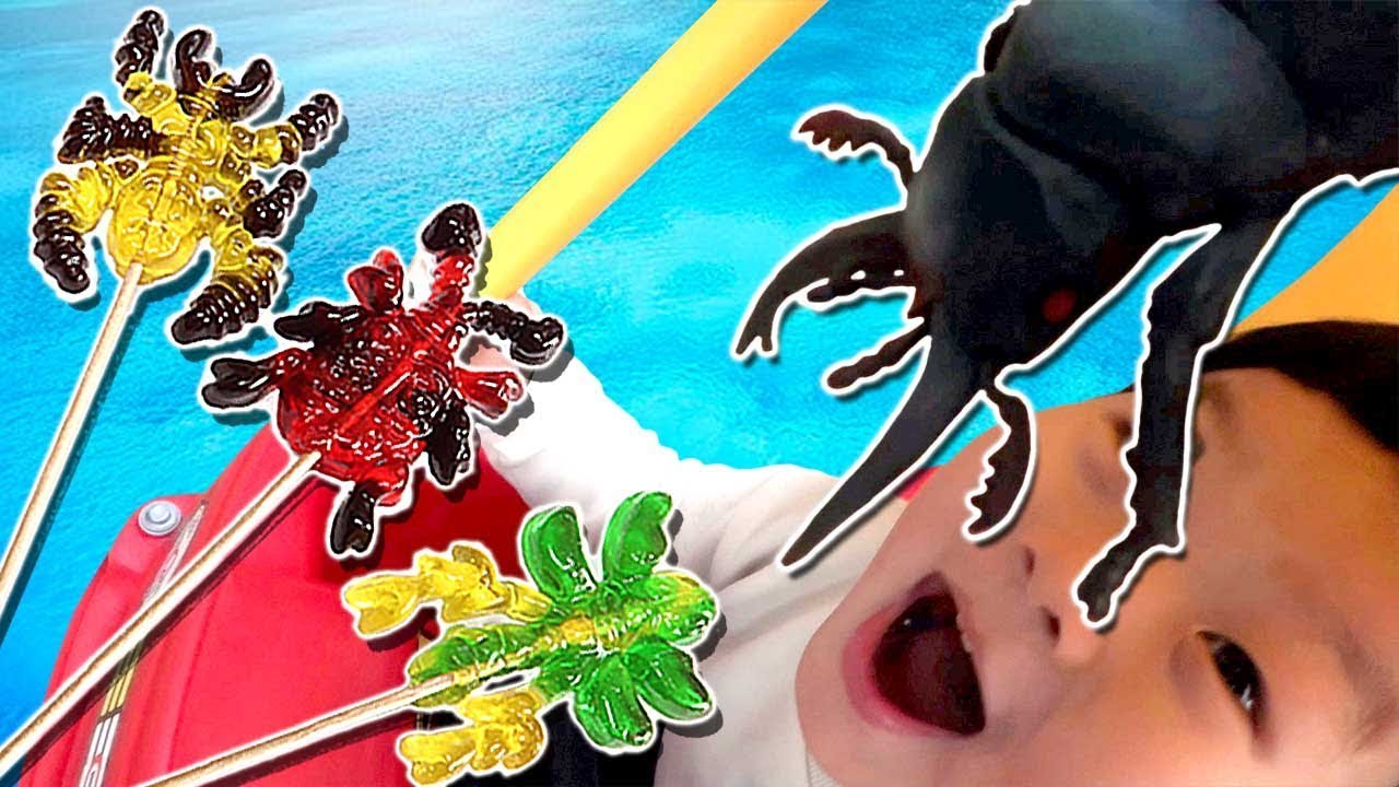 징그러운 벌레 젤리를 잡아 먹어요! 전갈 지네 개미 사마귀 인기동요 Insect Gummy bug eating Nursery ...