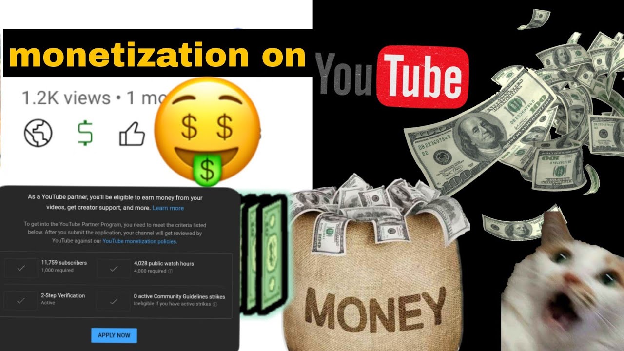 CHANNEL MONETIZATION 🤑 YOUTUBE MONEY 💰 🥺VLOG2022 - YouTube