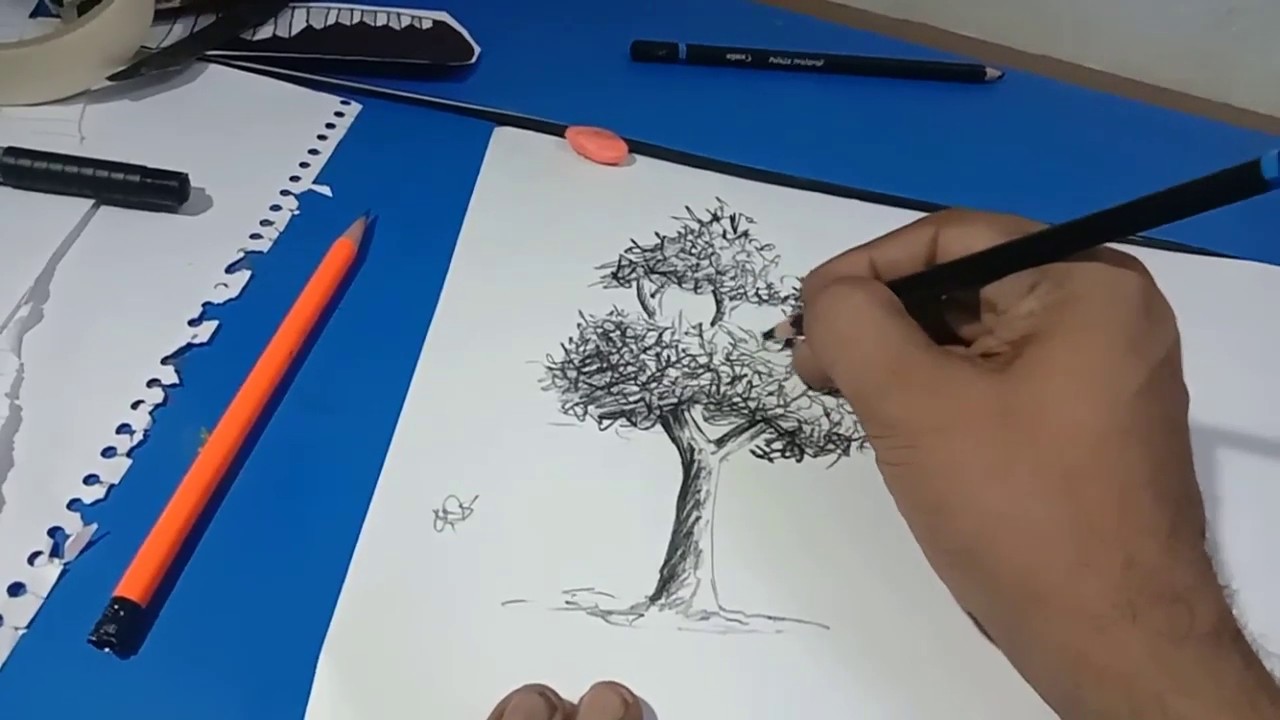 how to draw tree| how to draw grass| easy tips of draw the tree ,grass ...
