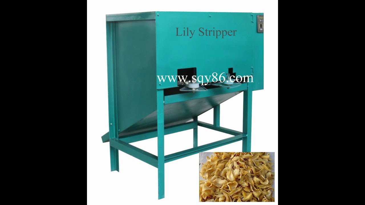 Dried Lily Bulb Stripper Breaker Edible Lily Bai He Stripping Machine ...