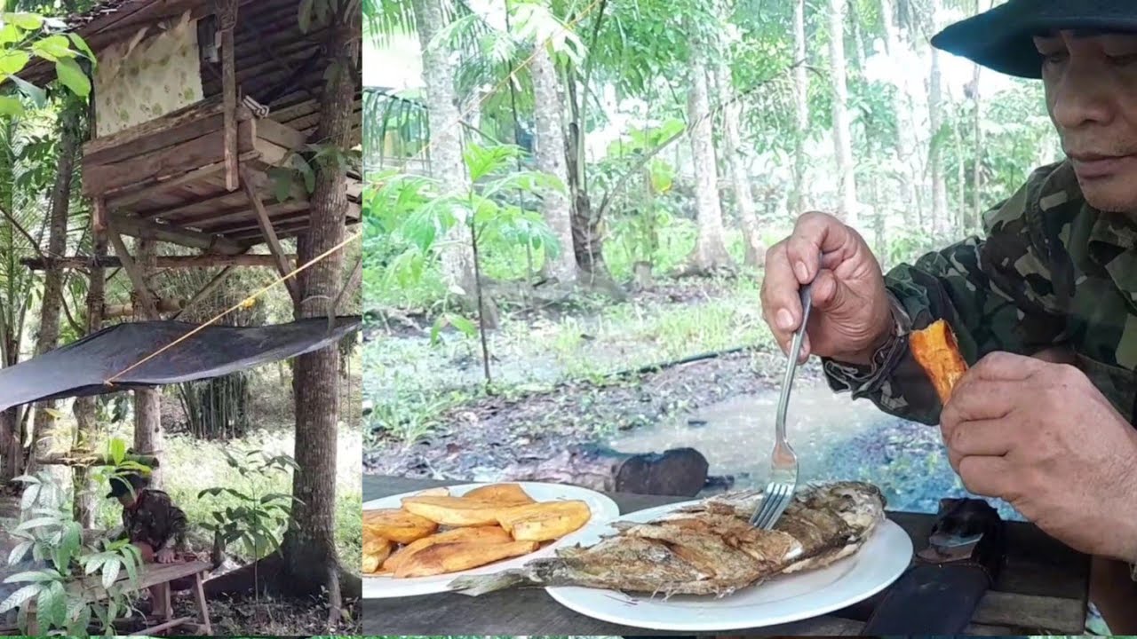 Build Extension Tent Under My Small Tree House Cook & Eat Fried Fish ...