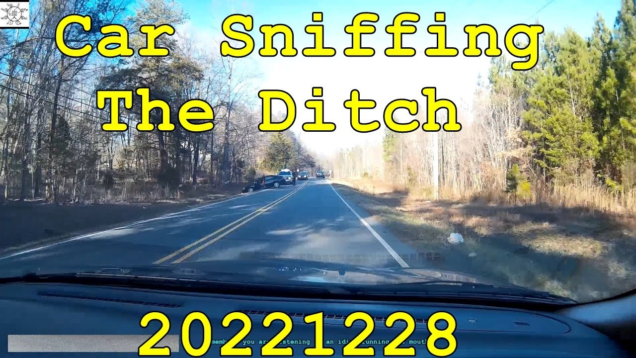 Car Sniffing The Ditch 20221228 - YouTube
