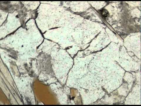 Quartz in garnet mica schist (PPL) - YouTube