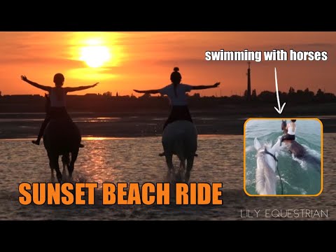 SUNSET BEACH RIDE | Swimming with horses | GoPro