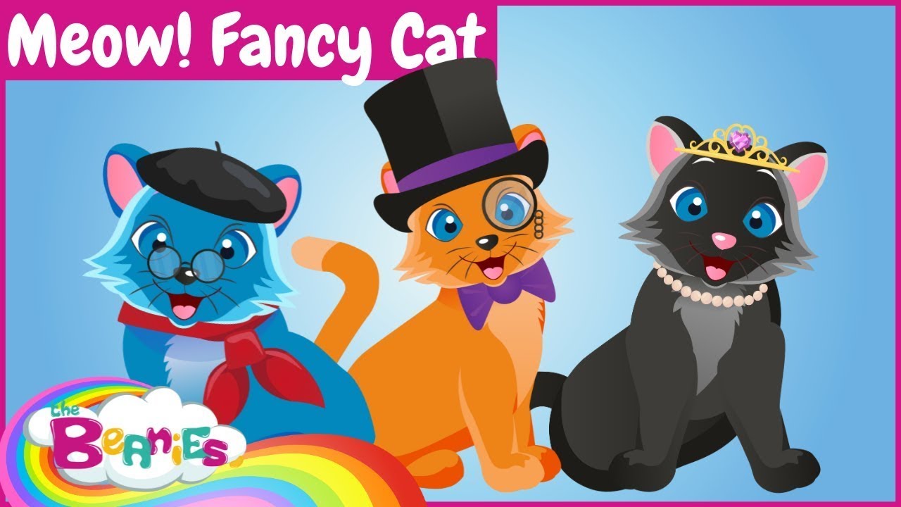 Fancy Cat | Pets | Kid's Kitten Video - YouTube