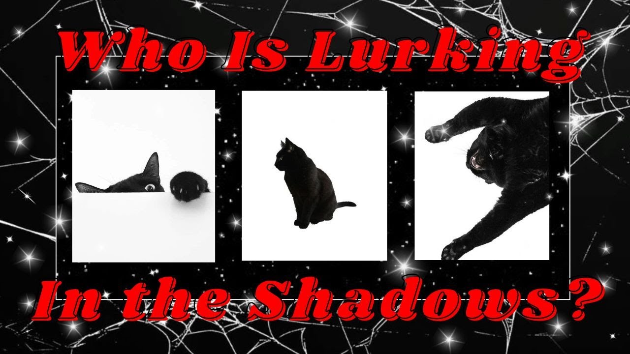 ️🔮 Who Is Lurking in the Shadows 🔮 Pick A Card ️ - YouTube