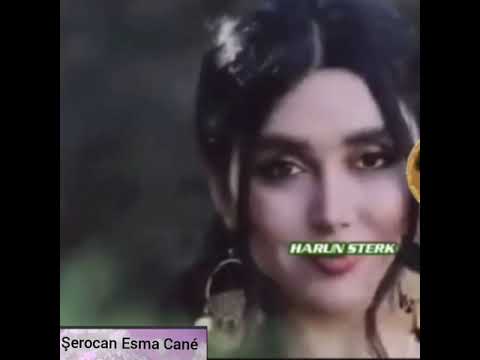 1 Mayıs 2021 Hozan Şerocan Esma Cané